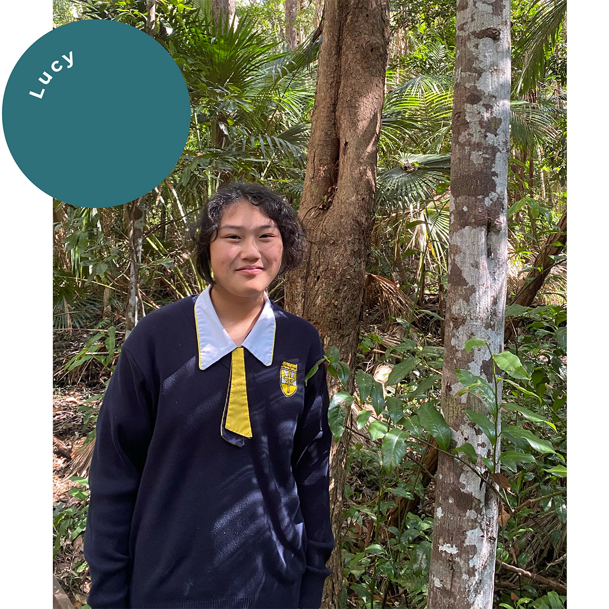 Interactive Rainforest | White Bolly Gum